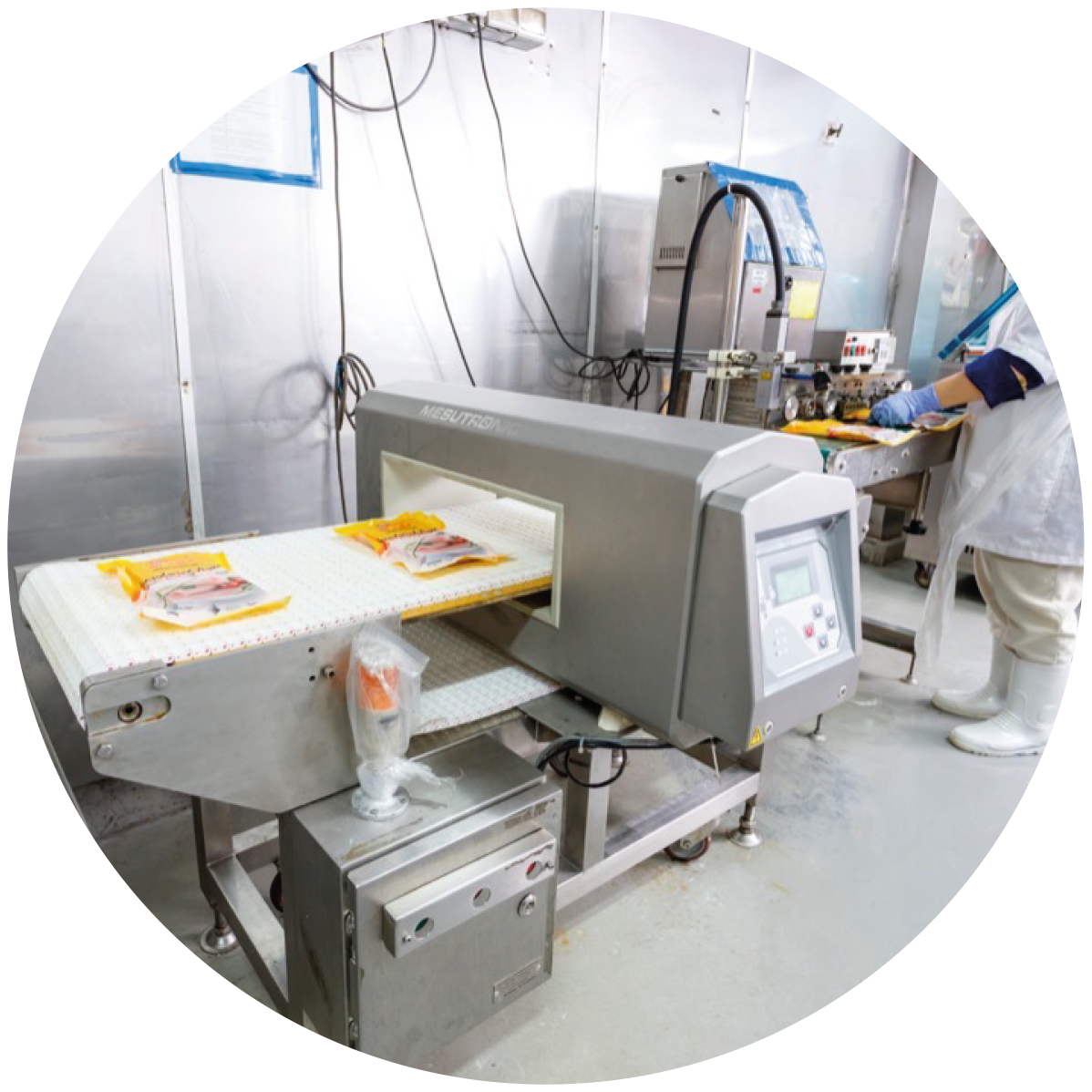 About Us – PFT Food Industries